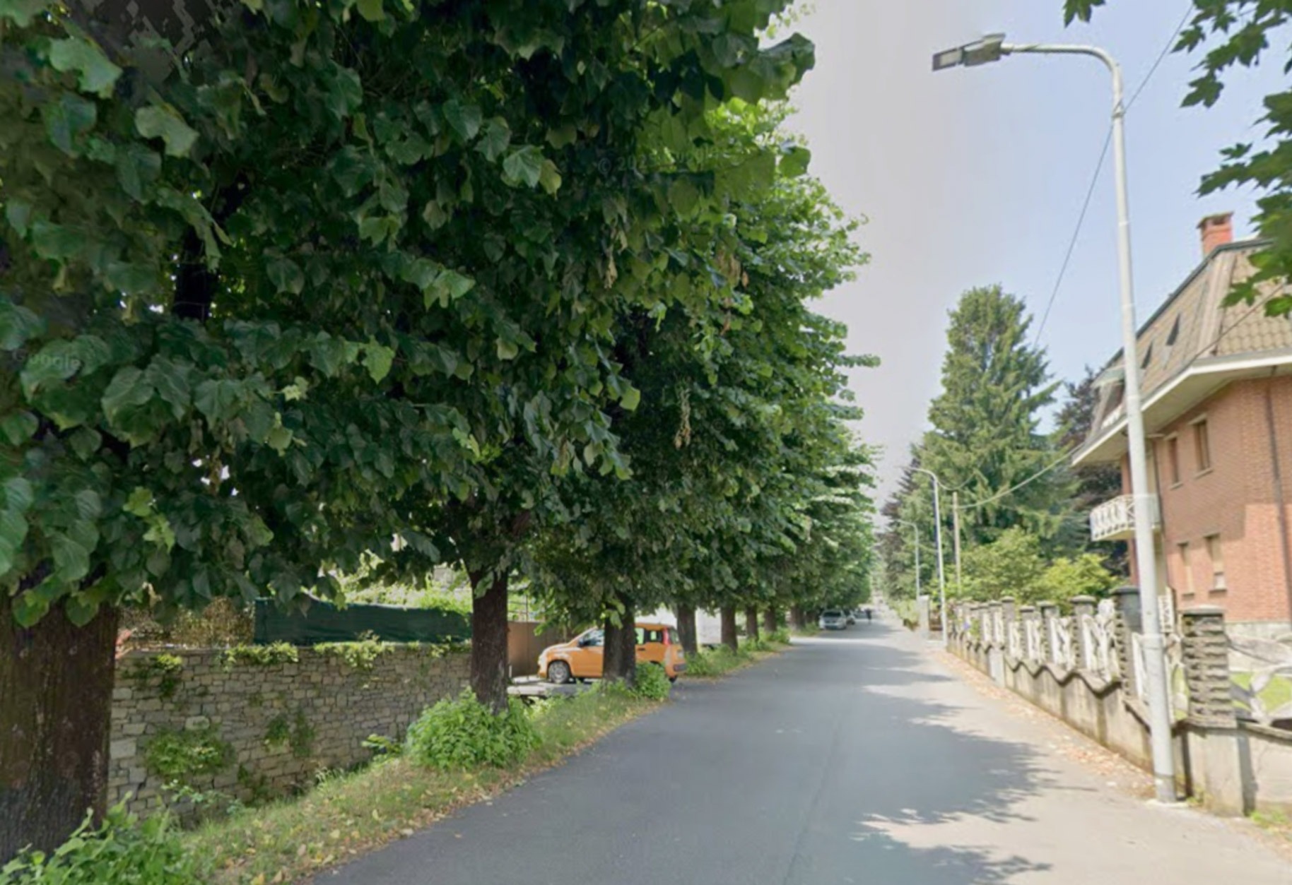 Abbattimento dell’alberata per ampliamento della Caffarel, Legambiente ...